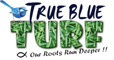True Blue Turf - South West WA, Roll-on Instant Lawn - Bunbury Busselton