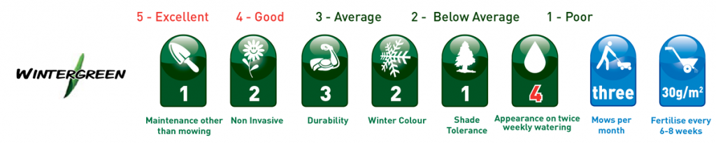 Wintergreen Couch — True Blue Turf